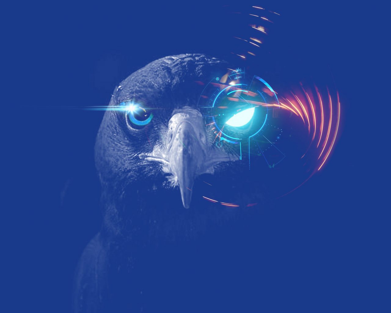 Falcon & Falcon Pro the Next Generation of Guidance - Satloc